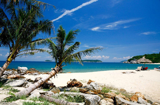 Cham Island 1 Day Tour - Reneatours