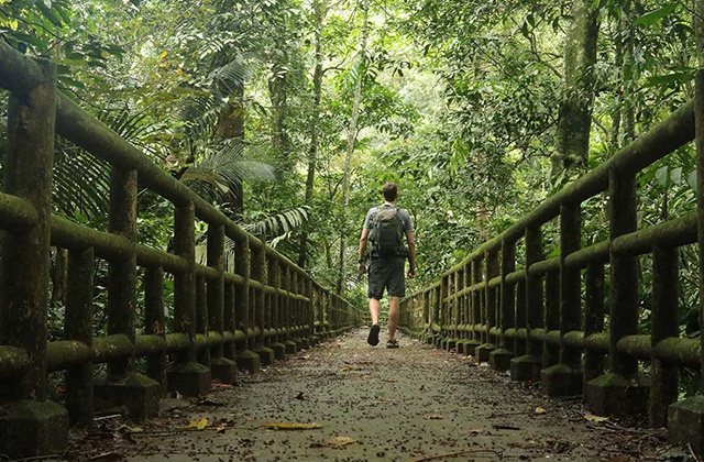 Cuc Phuong National Park Trekking 2 Days 1 Night - Reneatours