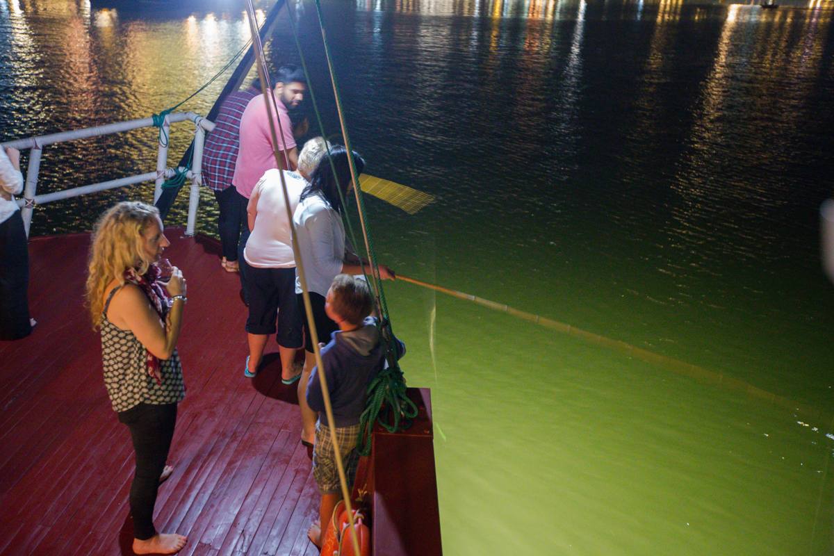 Royal Flamingo Cruise 3 Days 2 Nights - Reneatours